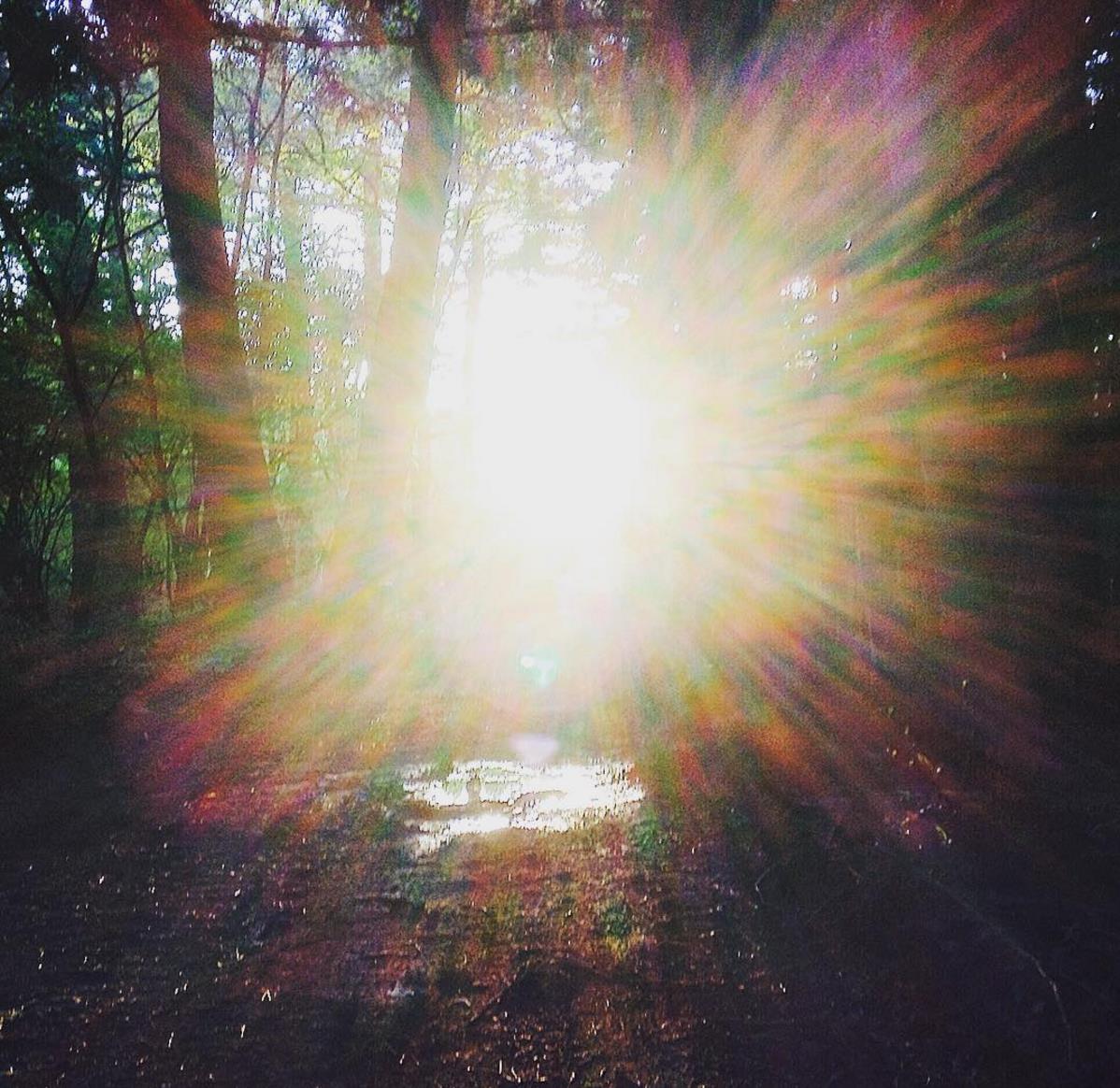 superfood – MAYANUTS